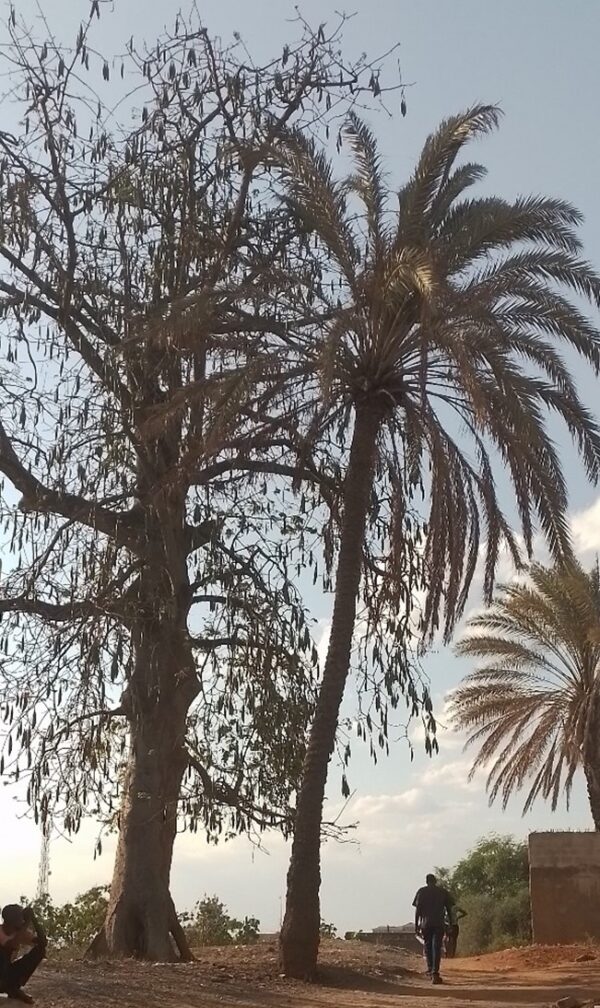 MWINGI. - My Kenya Journey